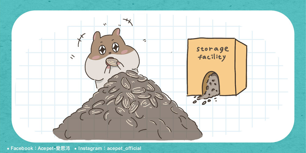 Why do hamsters love hoarding food? Understanding their natural ...