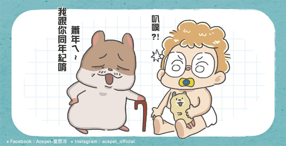 🐹 Hamster Age Conversion to Human Years 🕰️-Acepet