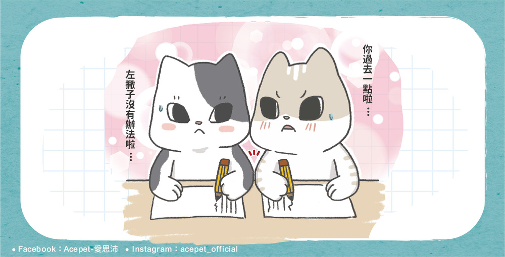 Can a Cat's Dominant Paw Reveal Its Gender? 🐾-Acepet