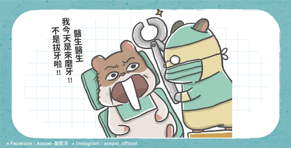 Hamster's Teeth Never Stop Growing-Acepet