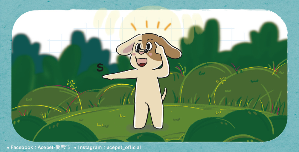 The Mysterious Sense of Direction in Dogs — Do They Align with the ...