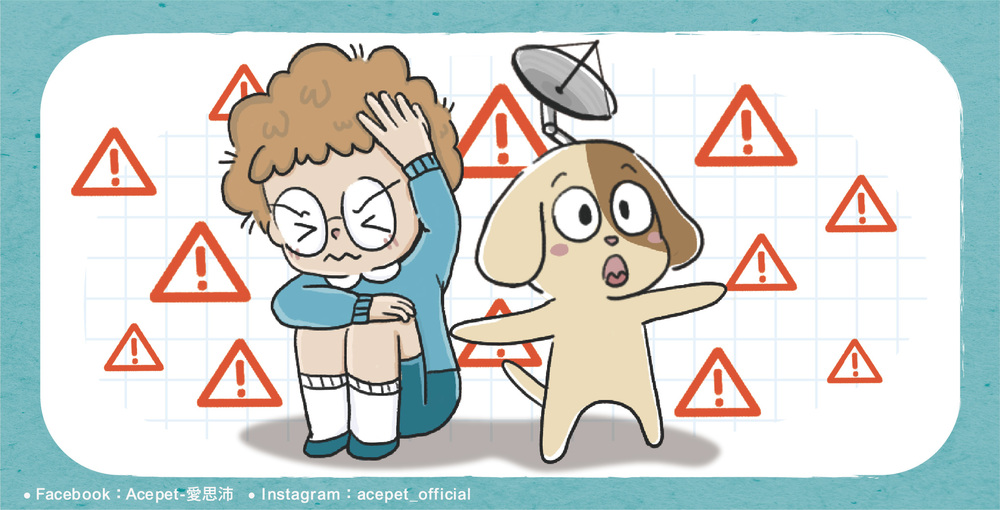 Your Dog Might Be a Natural Earthquake Detector! Here's What to Watch ...