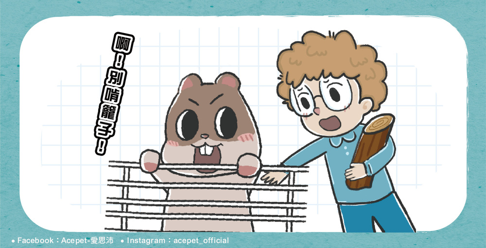 The Chewing Machine: Hamster Teeth Secrets You Should Know!-Acepet